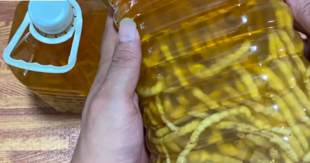 Văn hóa ẩm thực Tây Bắc: Khám phá nét đẹp ẩm thực đặc trưng vùng núi ...